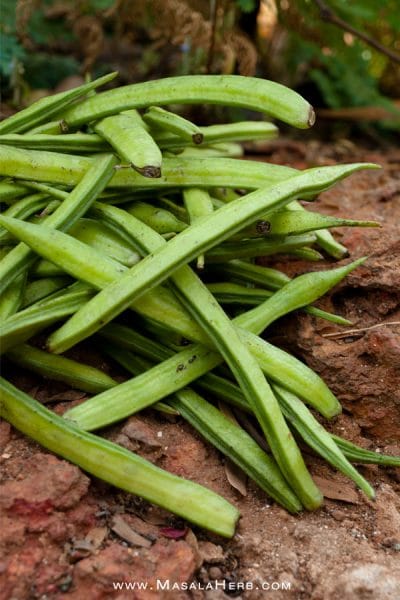Asian Guar Beans Stir Fry Recipe [Cluster Beans] | MasalaHerb.com