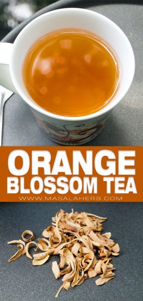 Orange Blossom Tea - How to infuse with loose petals | MasalaHerb.com