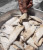 Goan Para Fish - Marinated Fish Pickle | Masala Herb