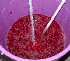 Red Currant Cordial Recipe - How to make Syrup [no cooking!]