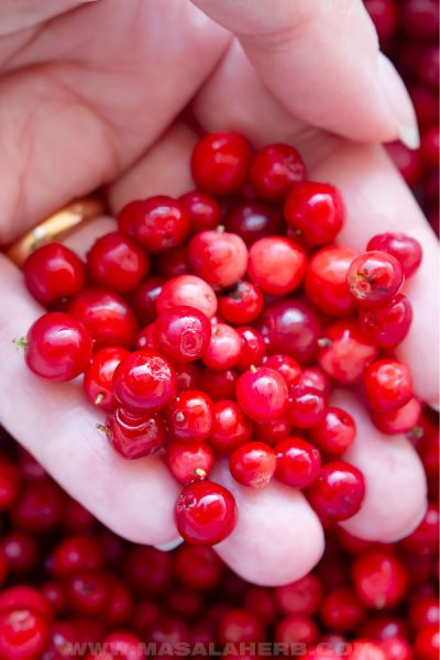 Lingonberry Jam Recipe {without Pectin} | Masala Herb