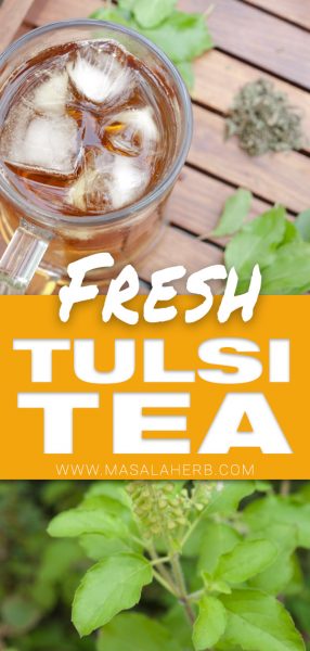 Infused Tulsi Tea with Fresh or Dried Leaves (Holy Basil)