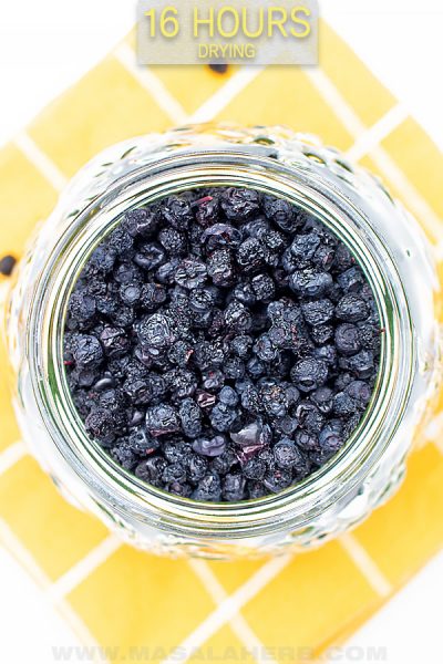 How to make Dehydrated Blueberries