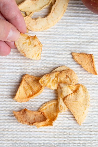 Dehydrated Apples in a Dehydrator