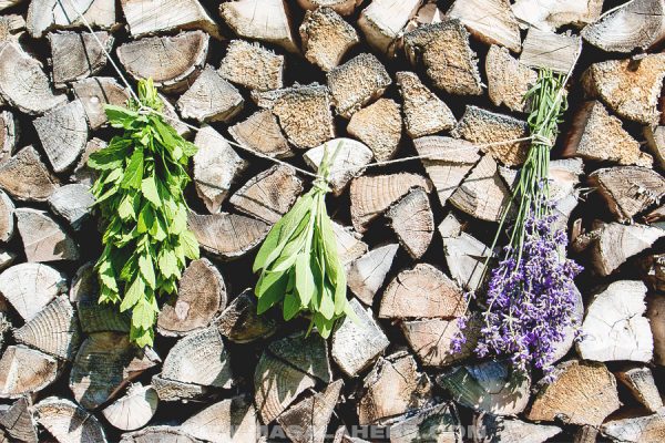 How to Dry Herbs (3 drying Options) 🌿 MasalaHerb.com
