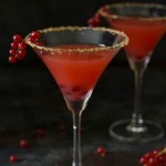 9 Best Red Currant Recipe Ideas | MasalaHerb.com