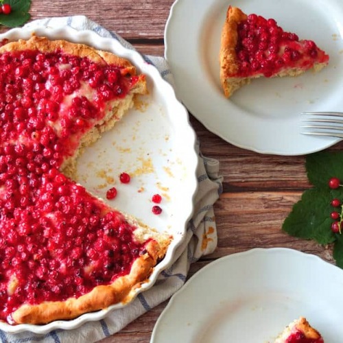 9 Best Red Currant Recipe Ideas | MasalaHerb.com