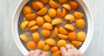 Dehydrated Apricots in the Dehydrator