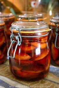 Home Canned Plums Recipe (water bath canning) | MasalaHerb.com
