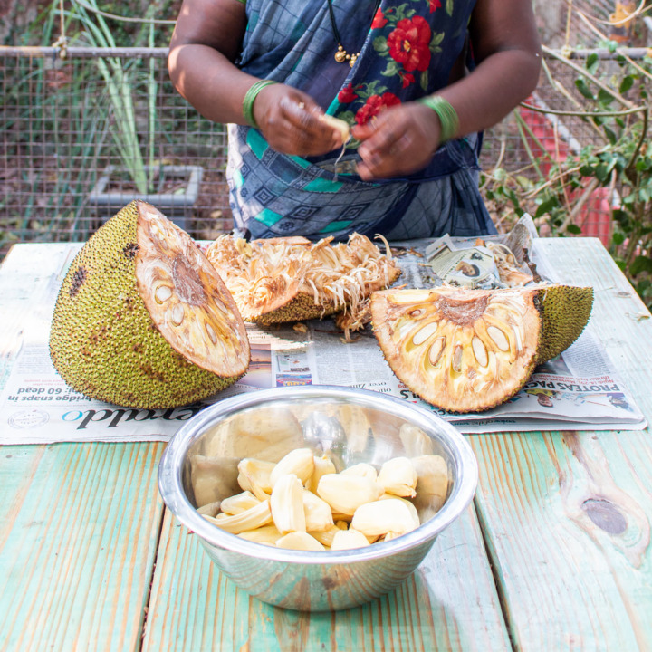 Breadfruit VS Jackfruit: What's the difference?