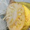 How to cut Jackfruit + Tips + Video