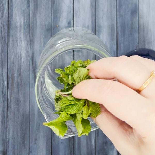 Homemade Mint Infused Water