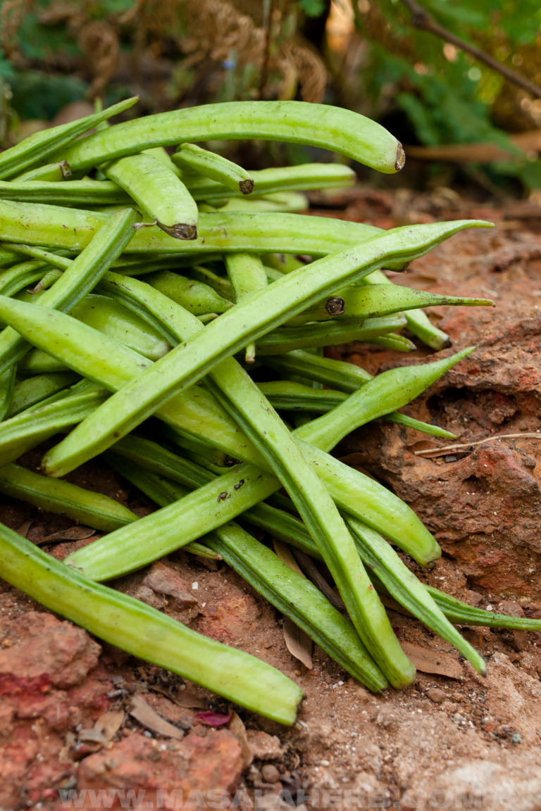 Goan Guar Beans Recipe
