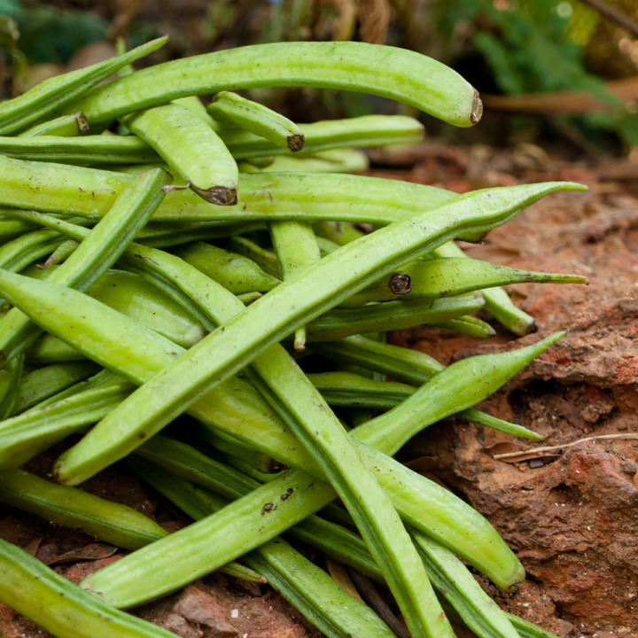 Goan Recipes | MasalaHerb.com