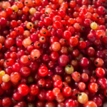 No-Cook Red Currant Syrup Recipe