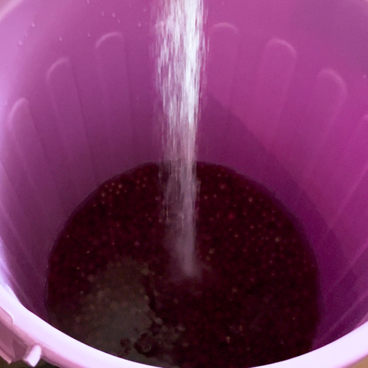 No-Cook Red Currant Syrup Recipe
