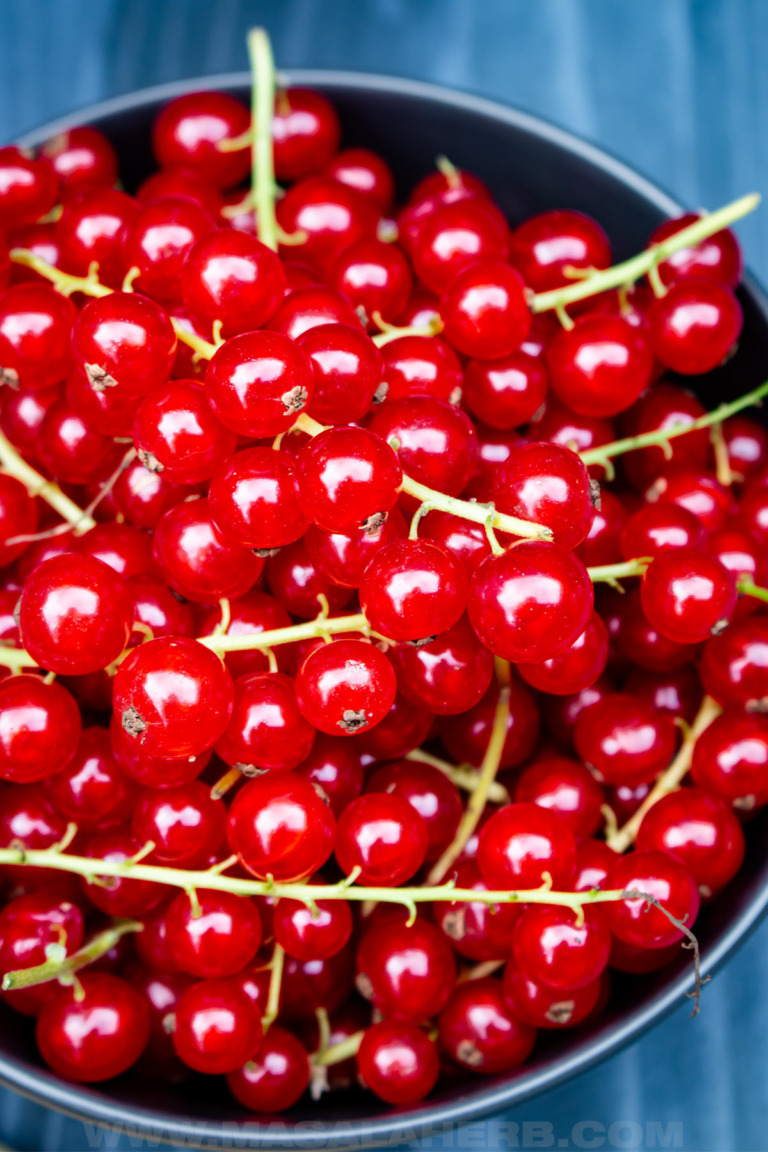 No-Cook Red Currant Syrup Recipe
