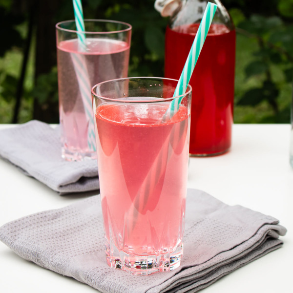 9 Best Red Currant Recipe Ideas