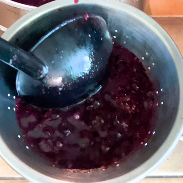 French Black Currant Jelly Recipe