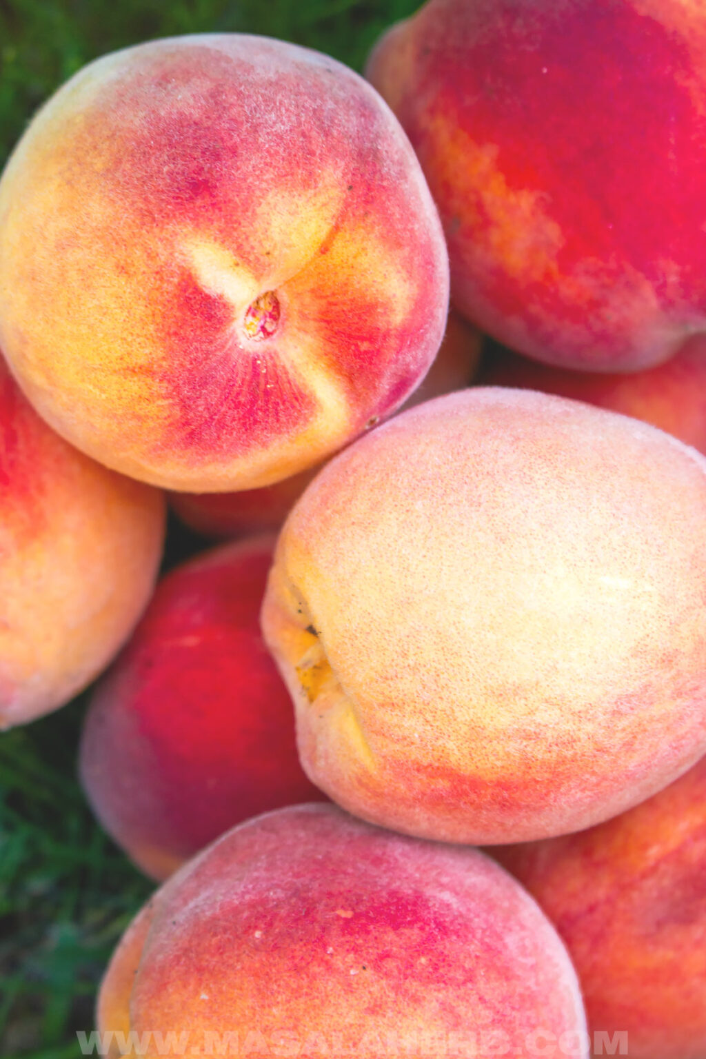 French Peach Jam Recipe