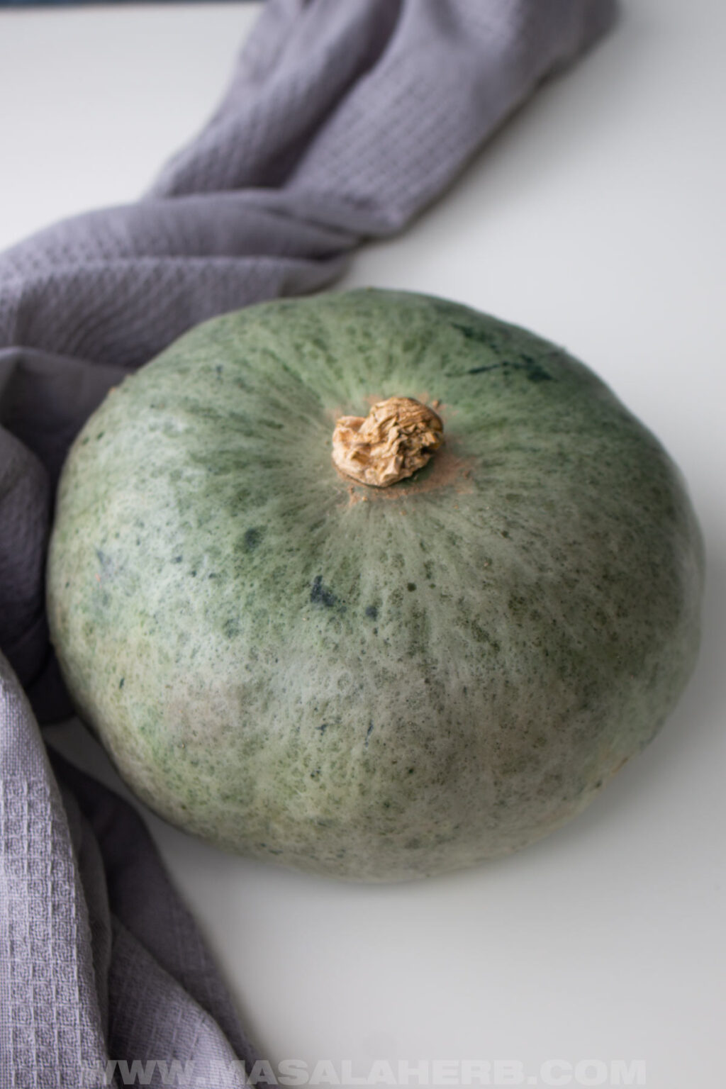 Roasted Sweet Meat Squash Soup Recipe