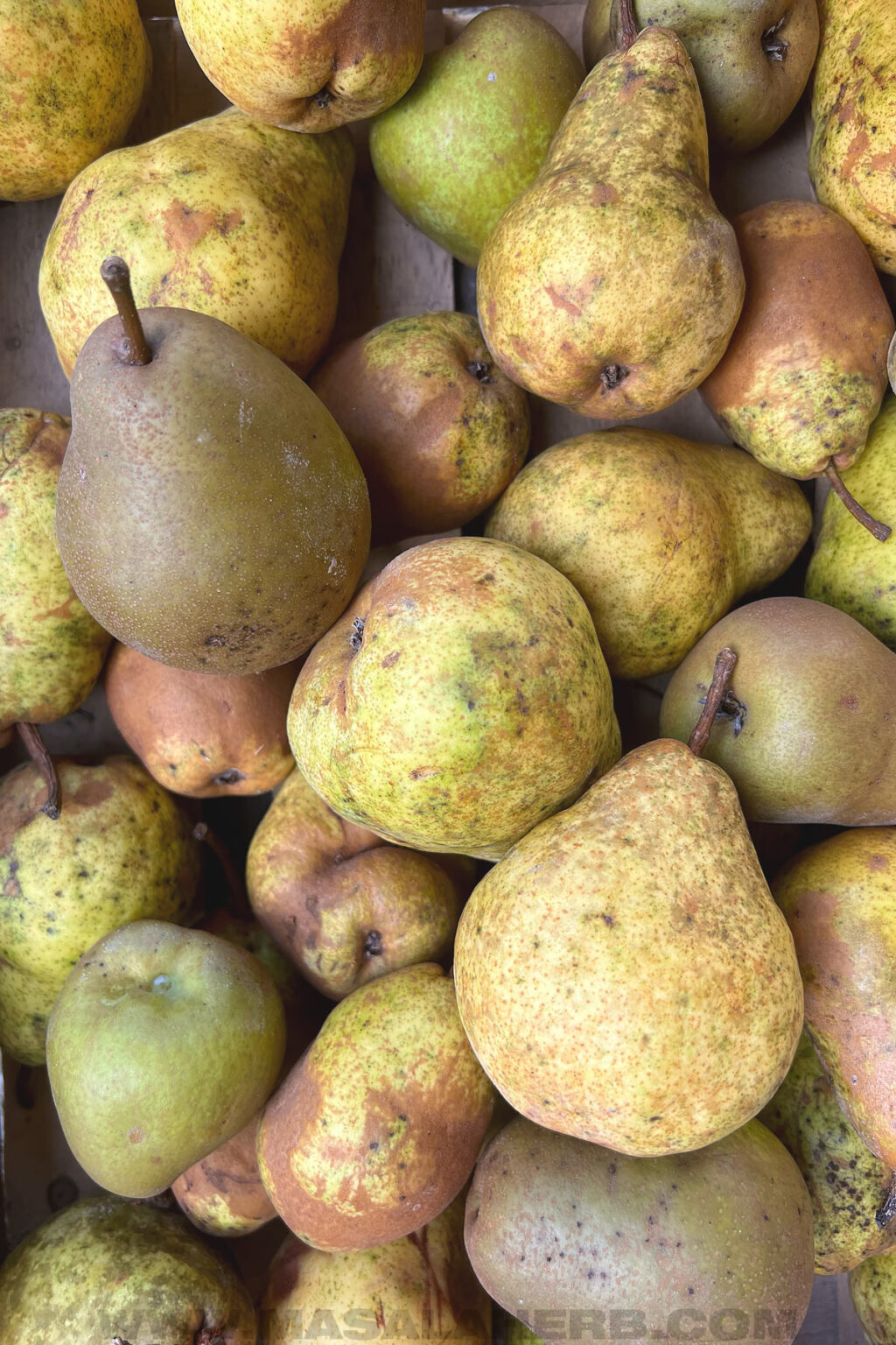 Vanilla Pear Preserves Recipe (+VIDEO) | MasalaHerb.com