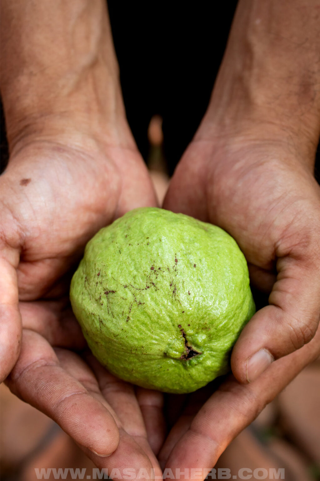 How to Make Guava Purée from Fresh Fruits