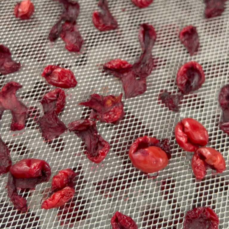 Dehydrated Cherries in the Dehydrator