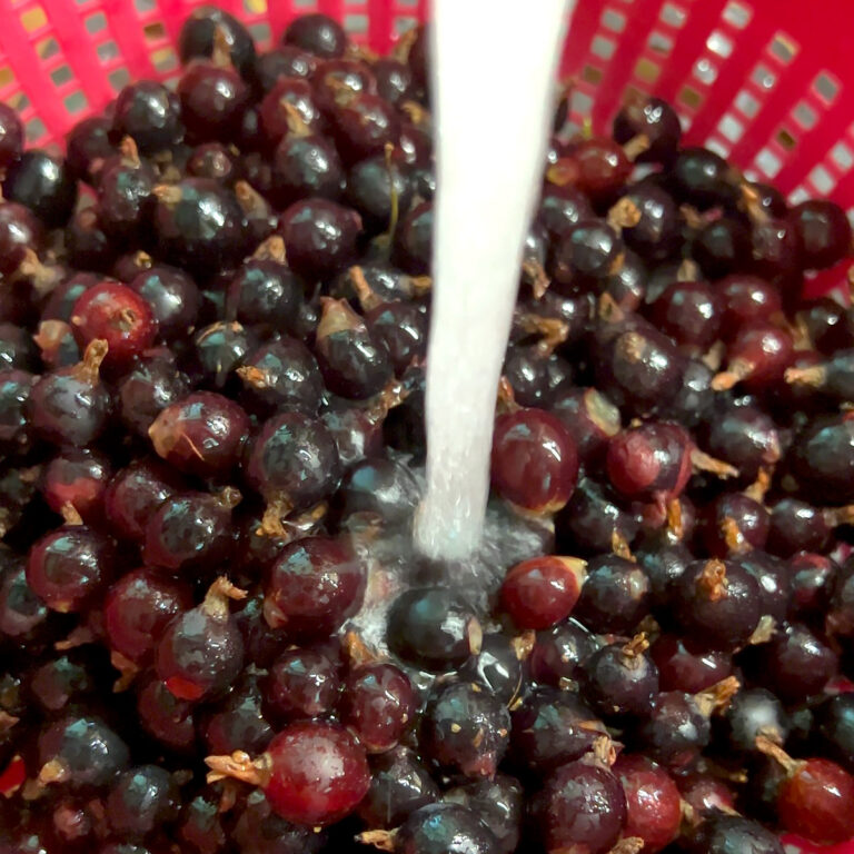 Jostaberry Jam Recipe