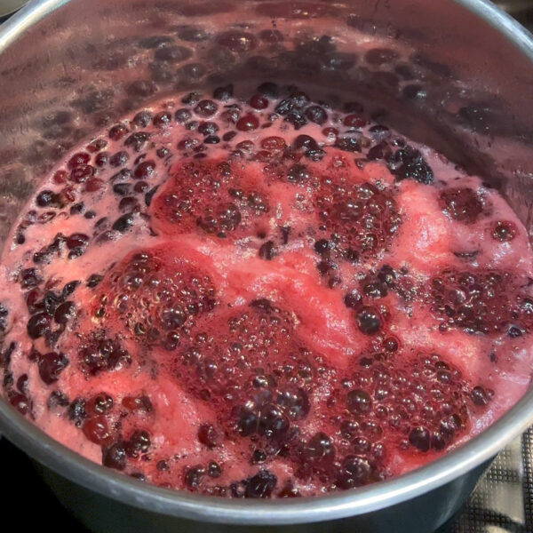 Jostaberry Jam Recipe