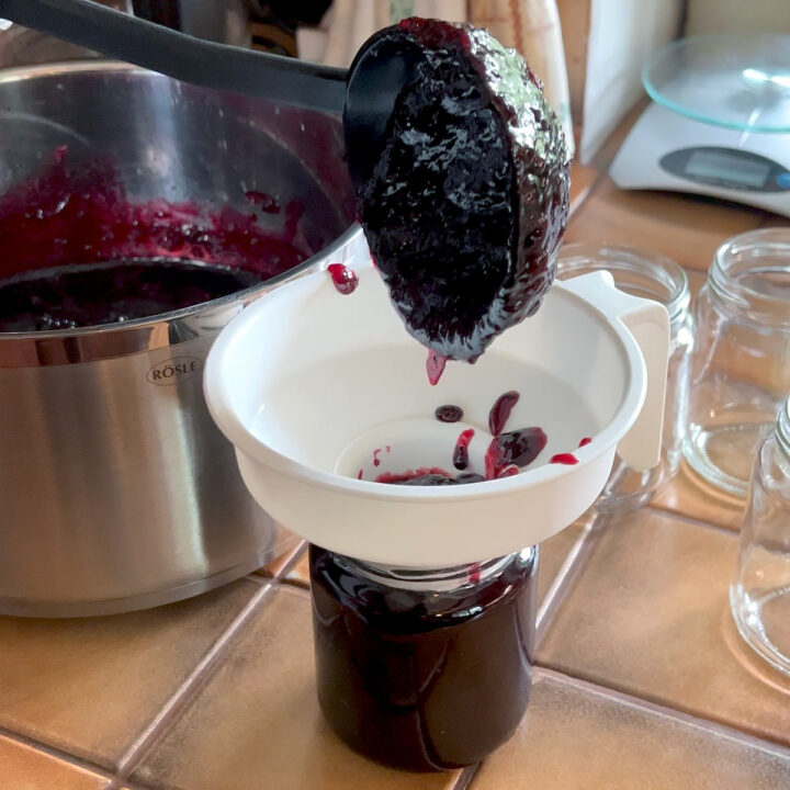 Jostaberry Jam Recipe