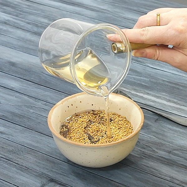 Homemade Whole Grain Mustard Paste